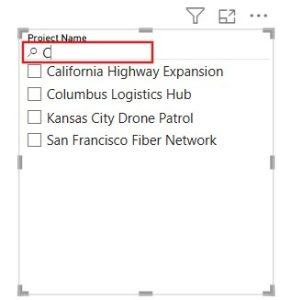 How to Add Search Box to Power BI Slicer? - Enjoy SharePoint